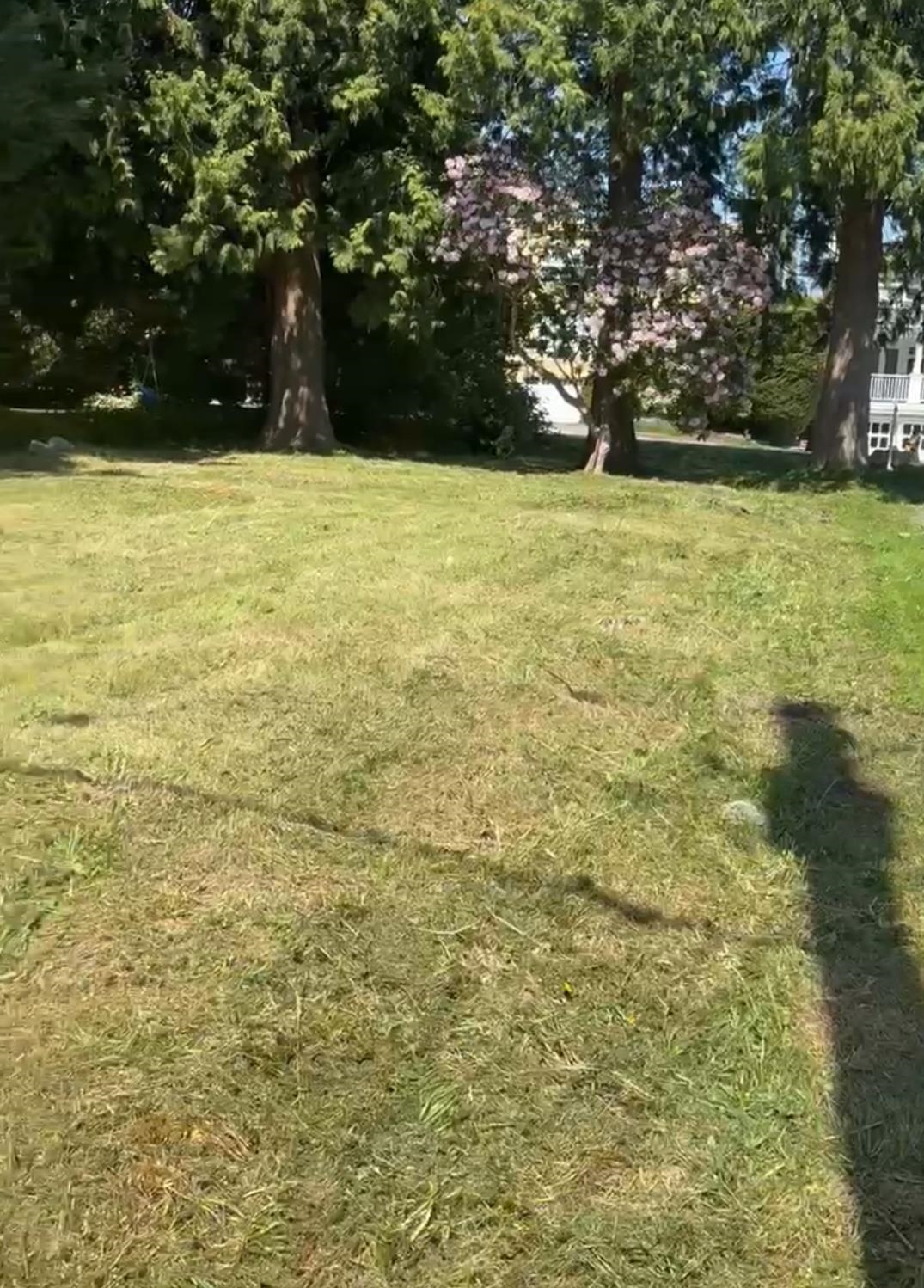 15482 Semiahmoo White Rock For Sale, R3081917 - StrawHomes.com